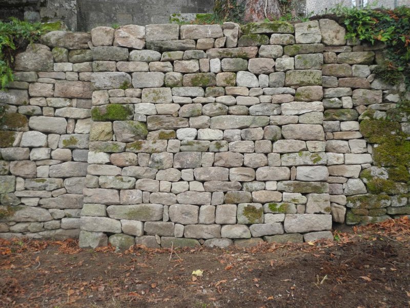 Murets de pierre et biodiversité